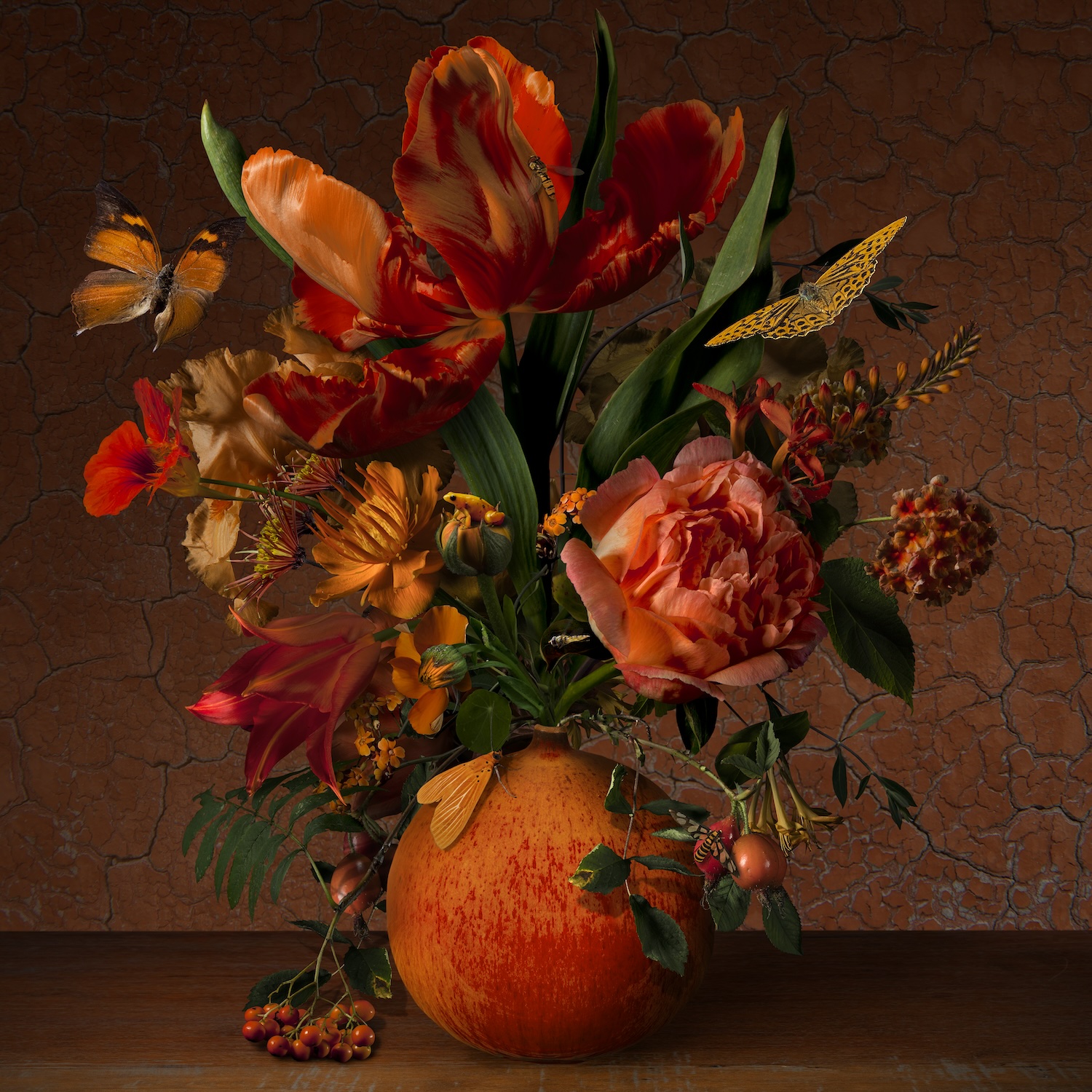 Orange 88 (#01) - DE TWEE PAUWEN